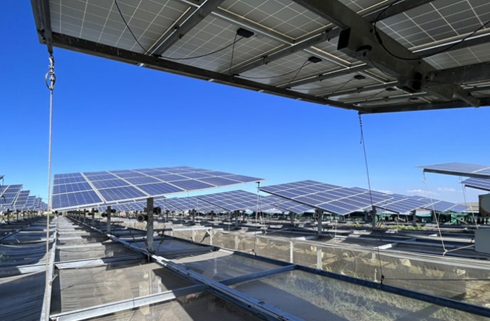 Bigsun offers best dual-axis solar tracker. iPV Solar Tracker is the best.