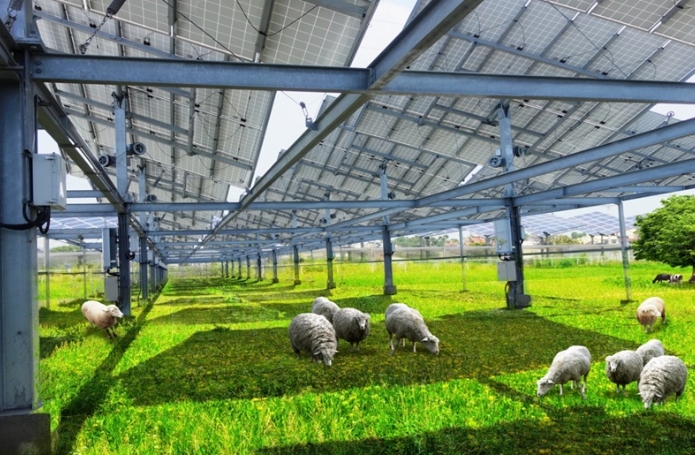 Bigsun offers best dual-axis solar tracker. iPV Solar Tracker is the best.
