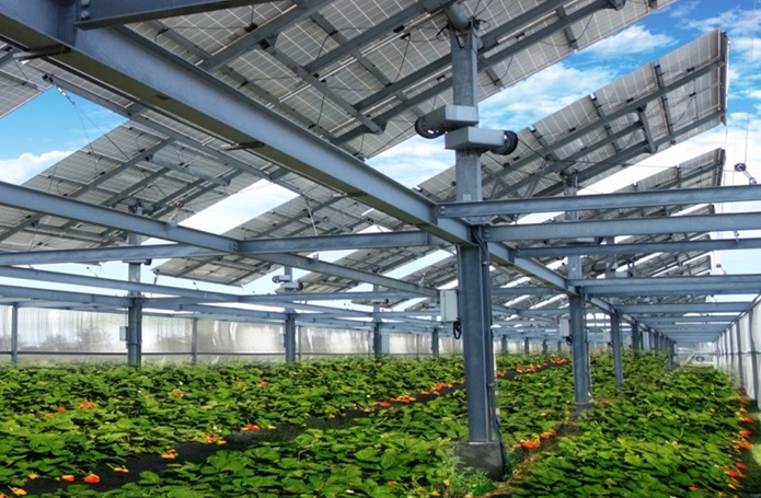 Bigsun offers best dual-axis solar tracker. iPV Solar Tracker is the best.