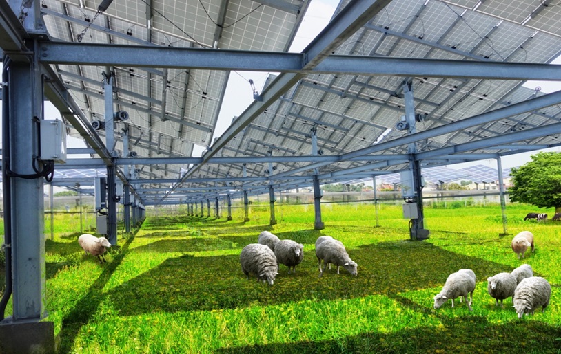 Bigsun offers best dual-axis solar tracker. iPV Solar Tracker is the best.